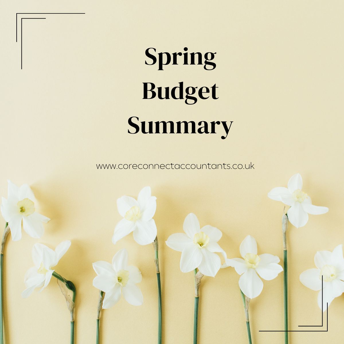 Spring 2024 Budget - Core Connect Accountants